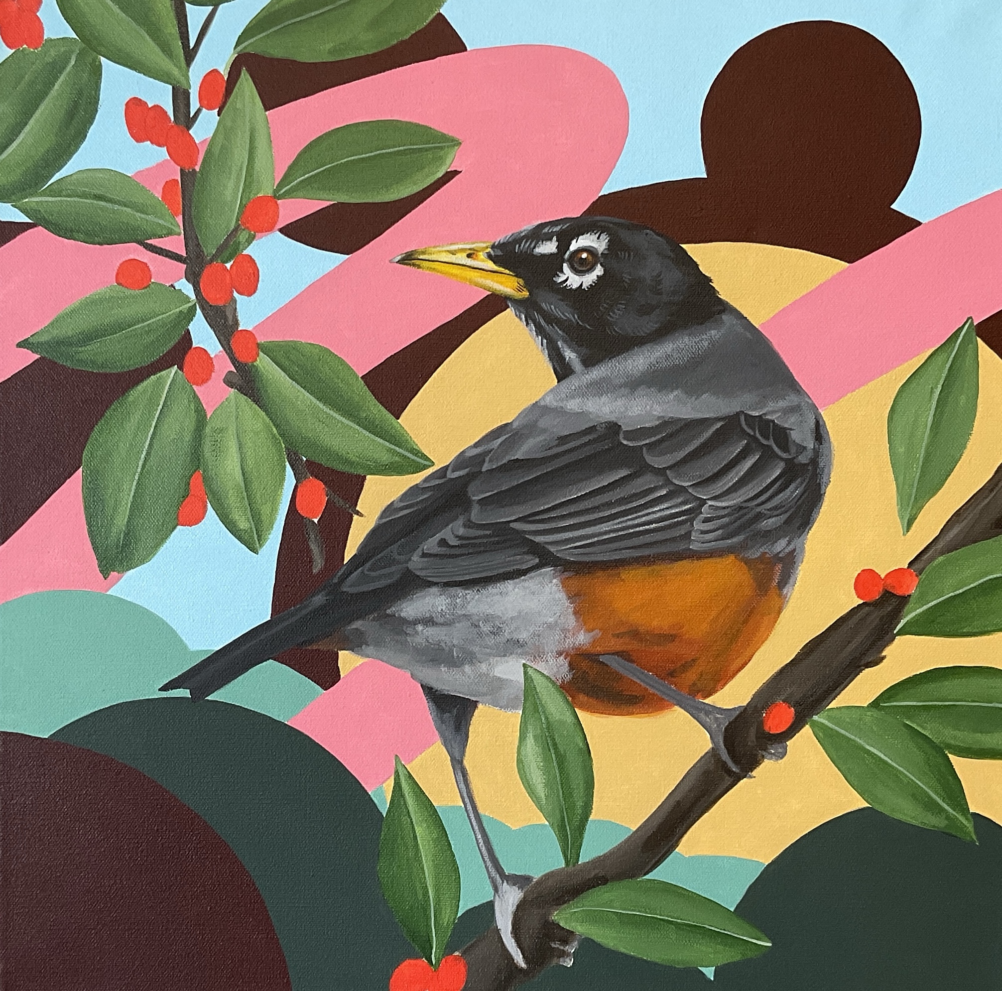 SOCIAL SPACES – Professor Chris Hall